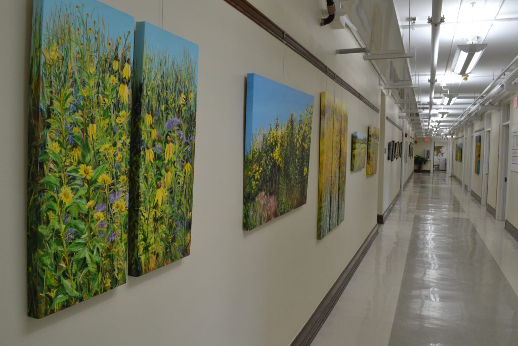 UWSC Art Gallery – University of Wisconsin Survey Center – UW–Madison